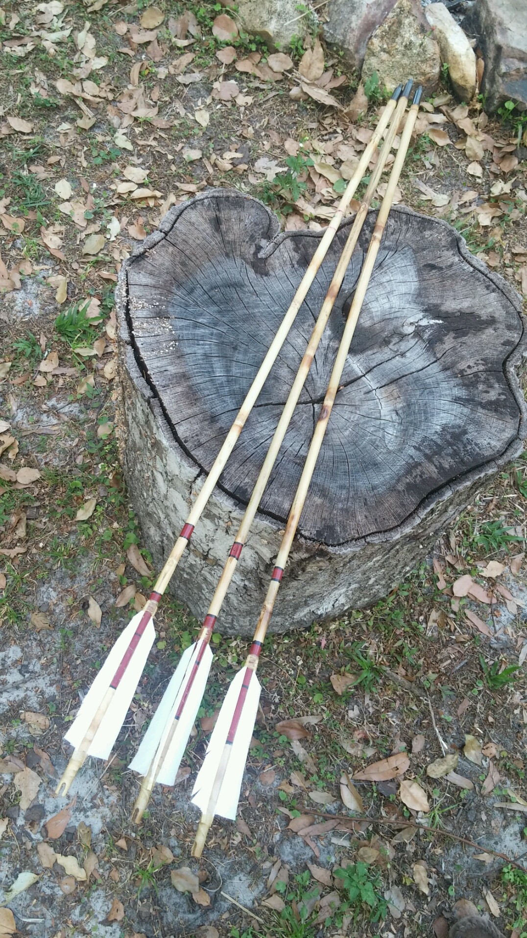 Arrows - Gill's Primitive Archery