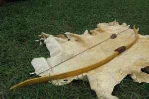 Aboriginal Model Bow - HuntPrimitive