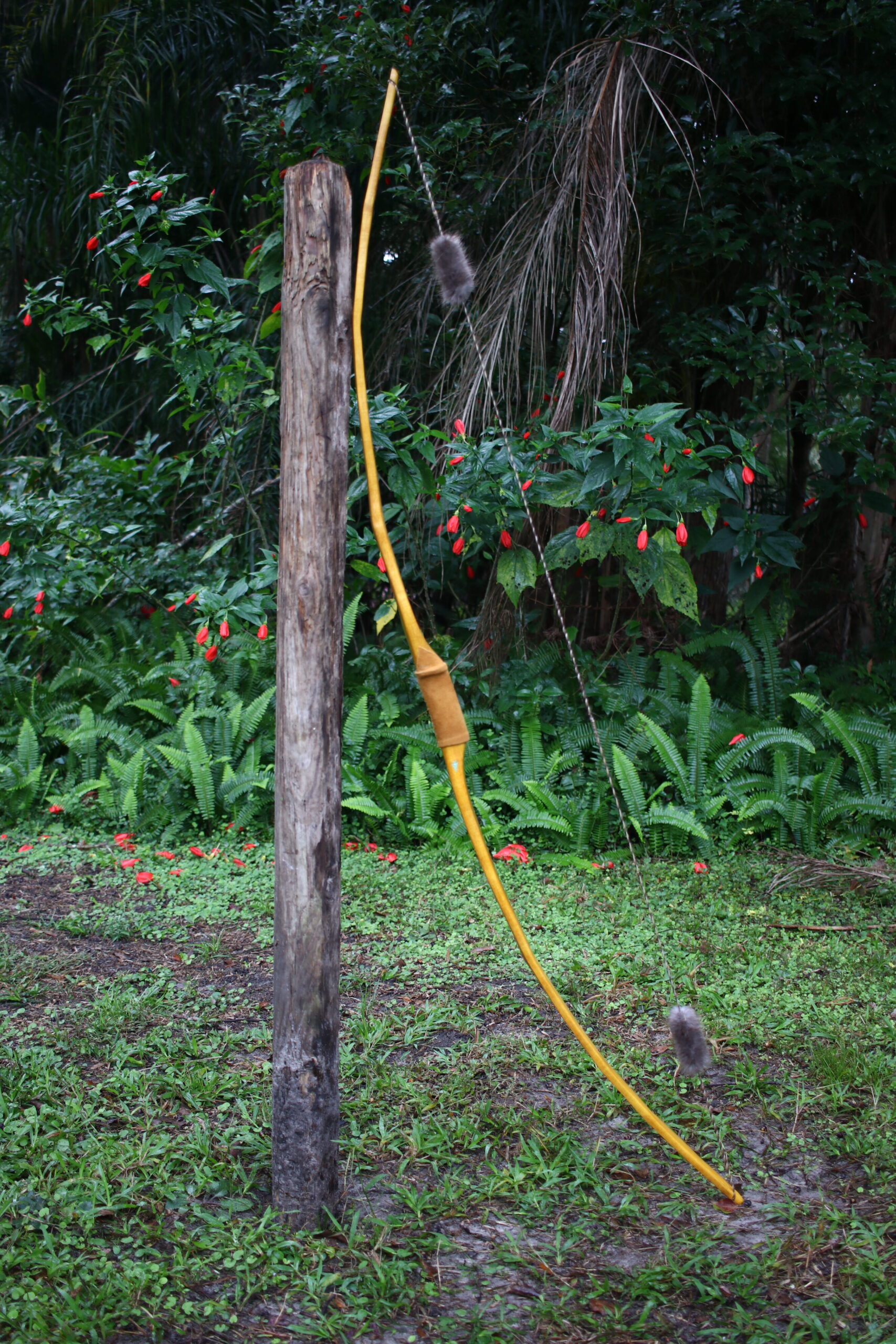 The Classic Selfbow - HuntPrimitive