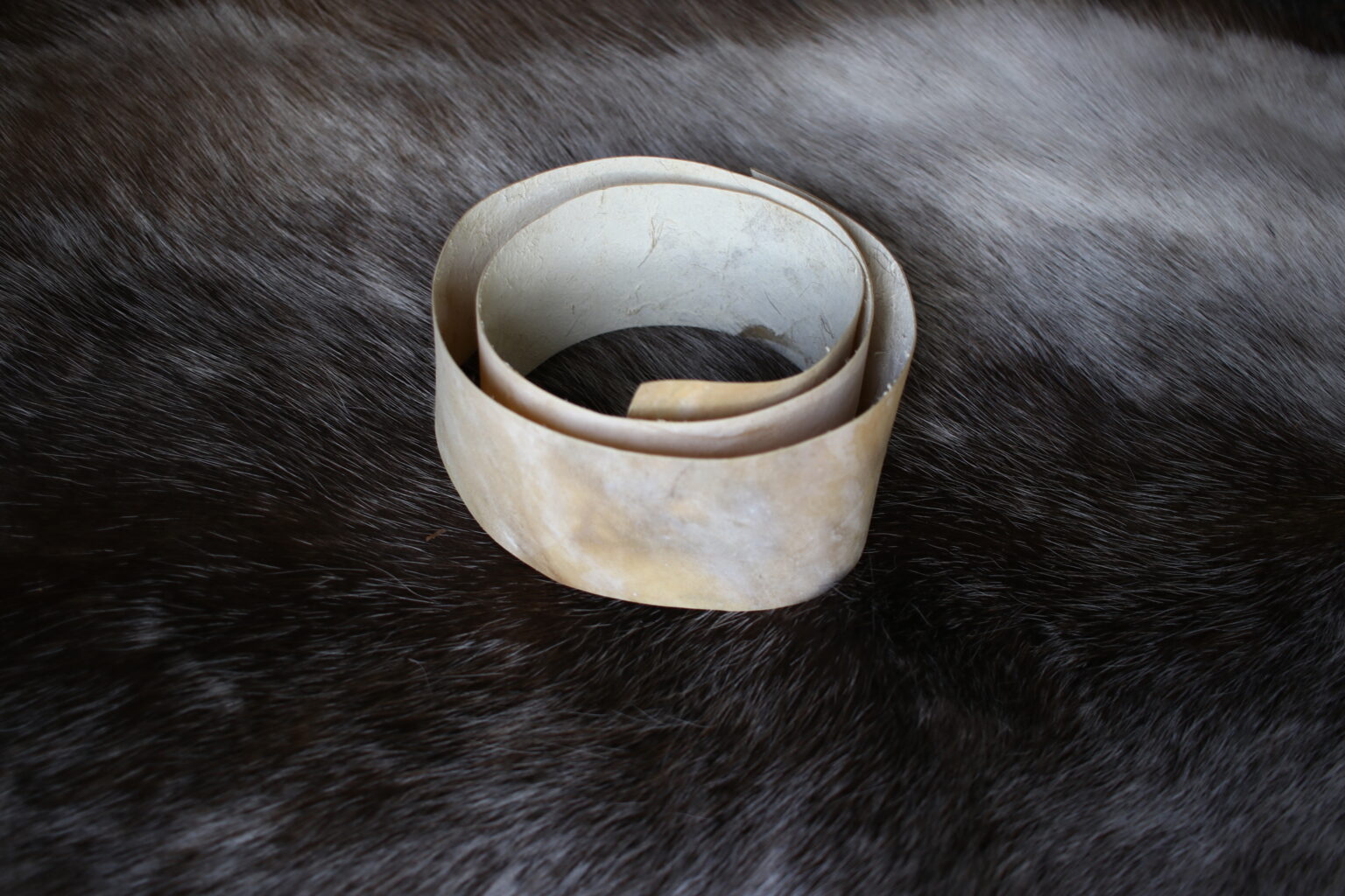 Rawhide Backing Strips - HuntPrimitive